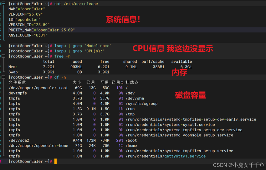 openEuler 常用开发工具性能实测：Python、Node.js、Git 运行效率对比-CSDN博客