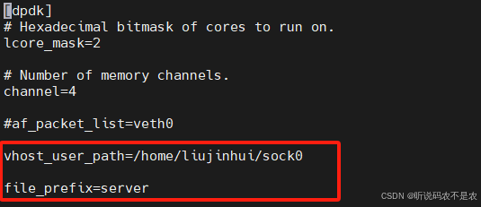 Fstack使用vhost_user和virtio_user_fstack virtio-user-CSDN博客