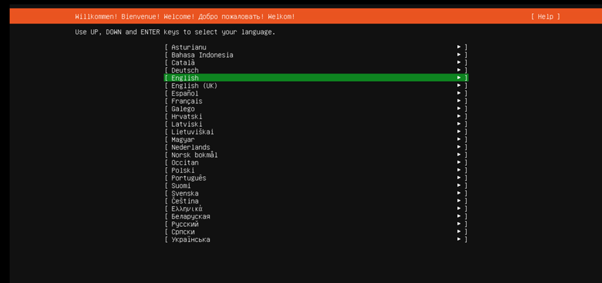 Ubuntu24.04.2 LTS VxRail虚拟化安装部署_ubuntu server 24.04.2 lts-CSDN博客