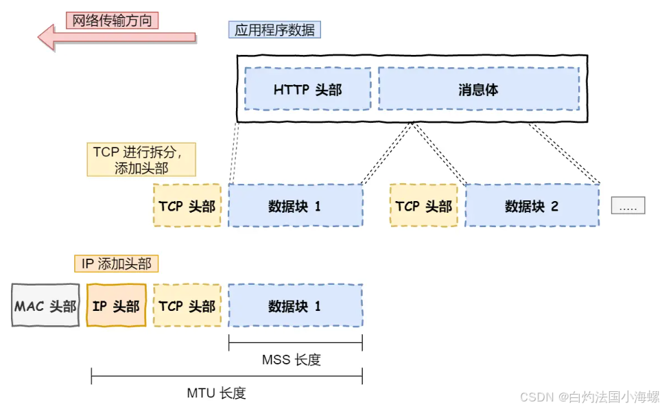 八股Day1：TCP/IP网络模型和OSI模型-CSDN博客
