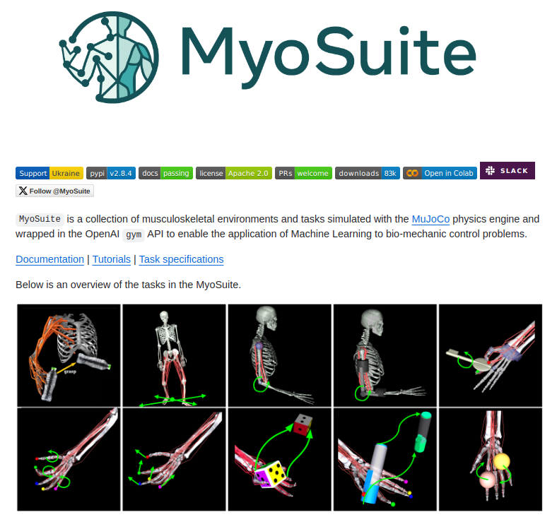 MyoSuite肌肉骨骼模型的开源项目仿真学习