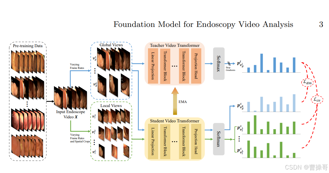 探索 Endo - FM：用于内窥镜视频分析的创新基础模型_endo-fm-CSDN博客