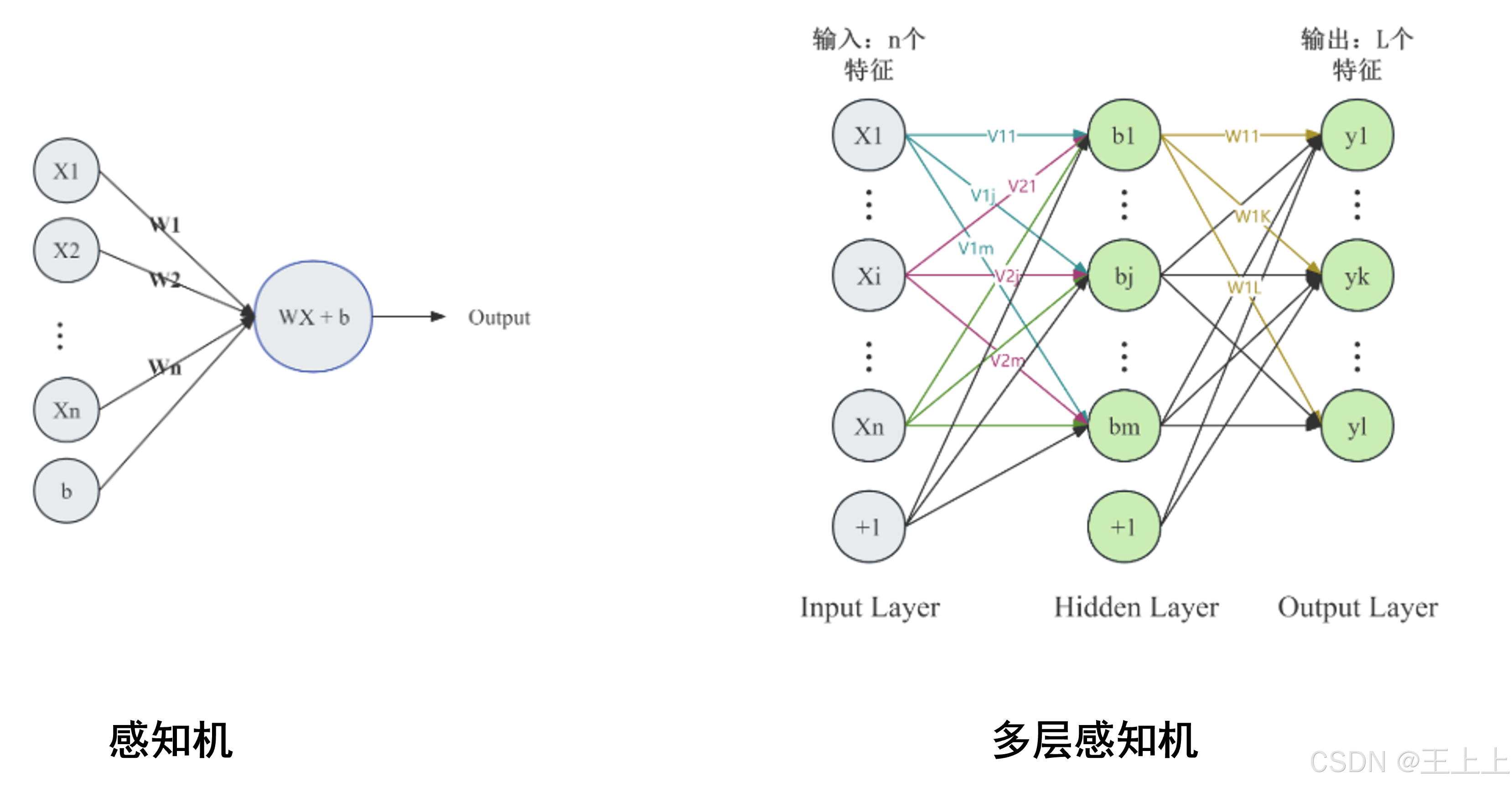【机器学习-29】- MLP（Multilayer Perceptron）多层感知机_mlp多层感知机-CSDN博客
