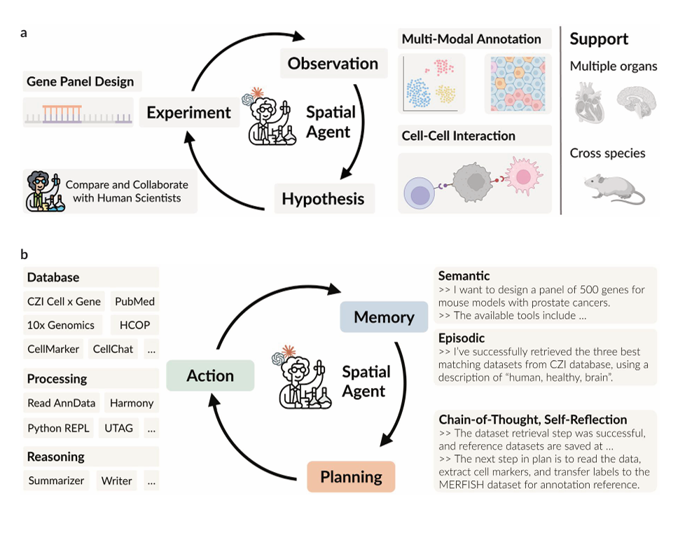 SpatialAgent，让空间组学进入“自动驾驶“时代！_geo-spatial agents-CSDN博客