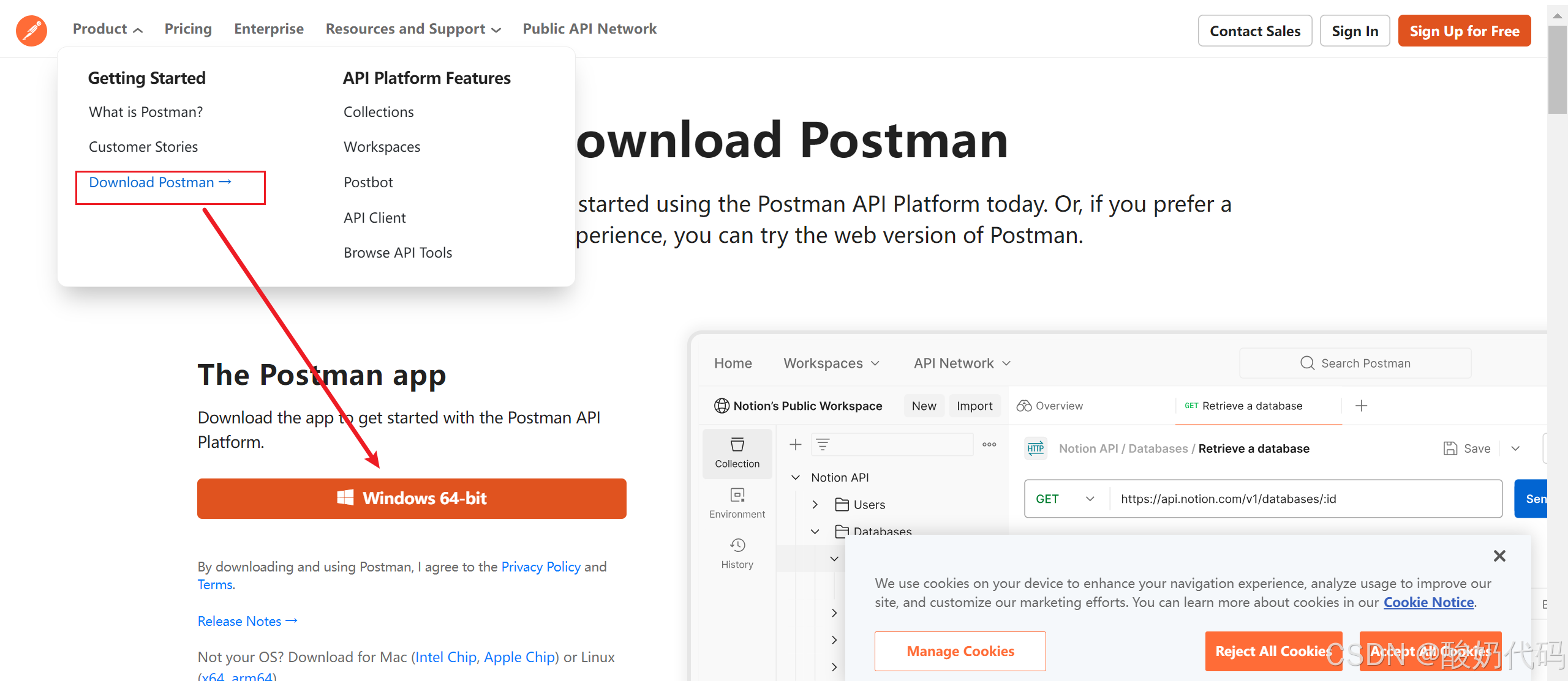 【SpringMVC -2】@RequestMapping+Postman（接口测试工具）+Rest的url请求风格+SpringMVC映射请求数据 (简单易懂！适合复习 ...