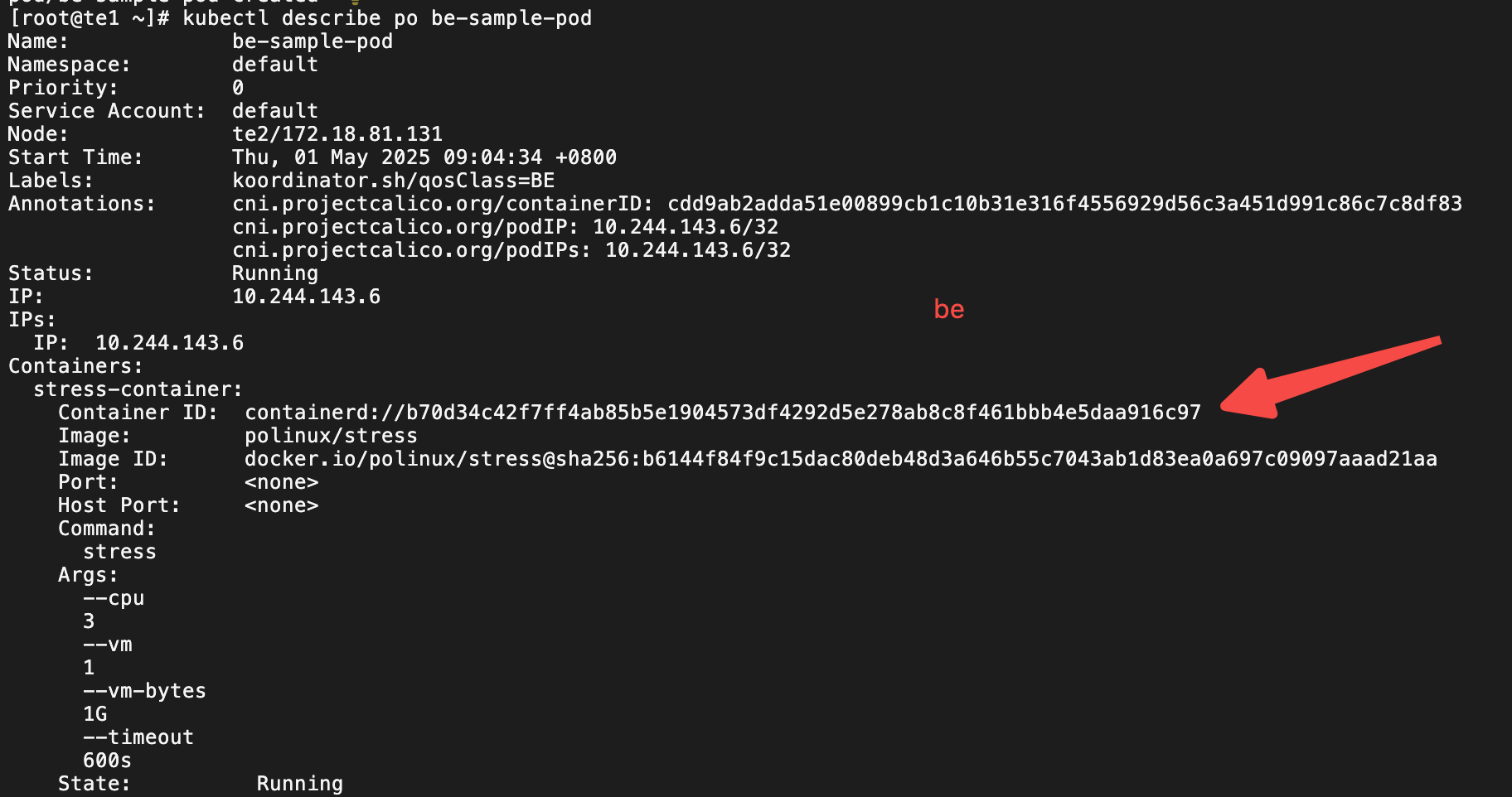 Koordinator 快速入门 (一)-CSDN博客