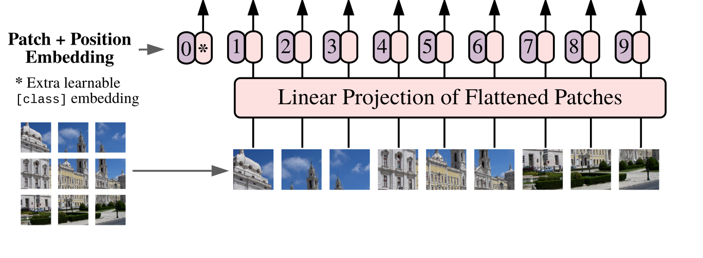 ViT（Vision Transformer）模型代码超级详细讲解（Pytorch实现）_vit模型代码-CSDN博客