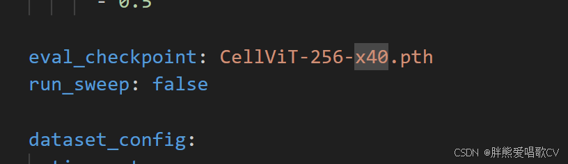 2024-9-27 CellVIT实验复现-CSDN博客