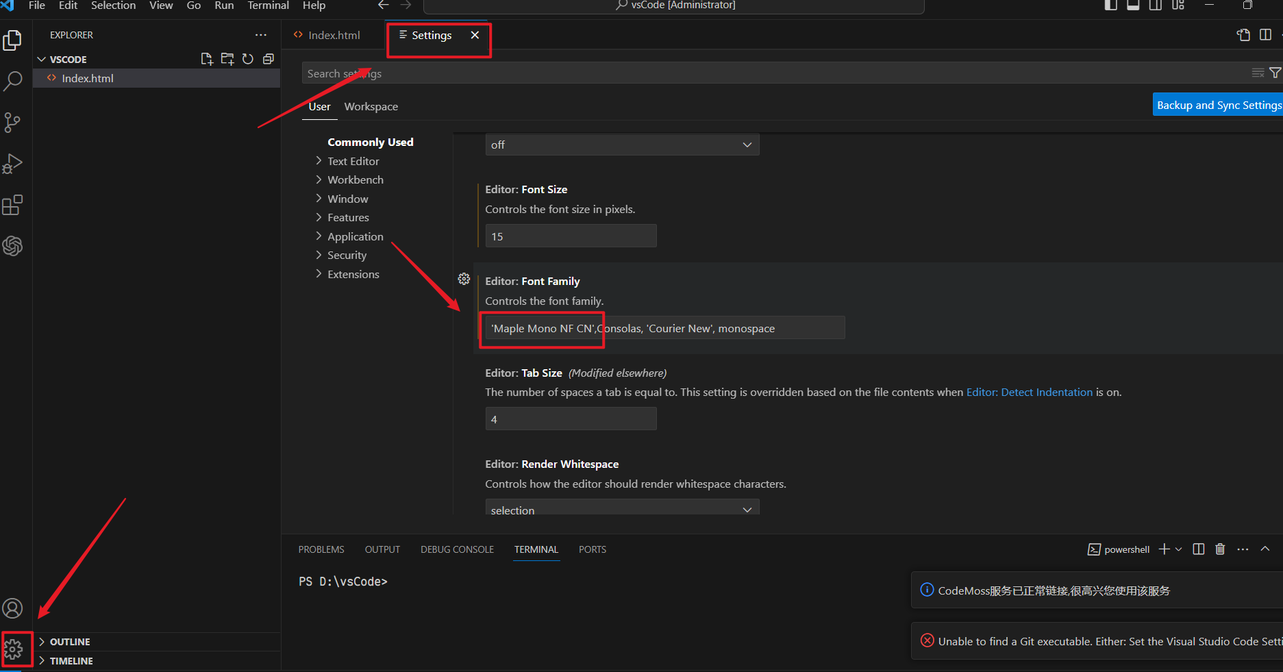 VSCode安装Maple Mono NF CN字体-CSDN博客