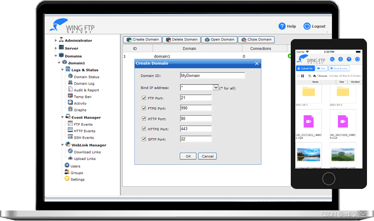 FTP服务器软件---Wing FTP Server_wingftp-CSDN博客