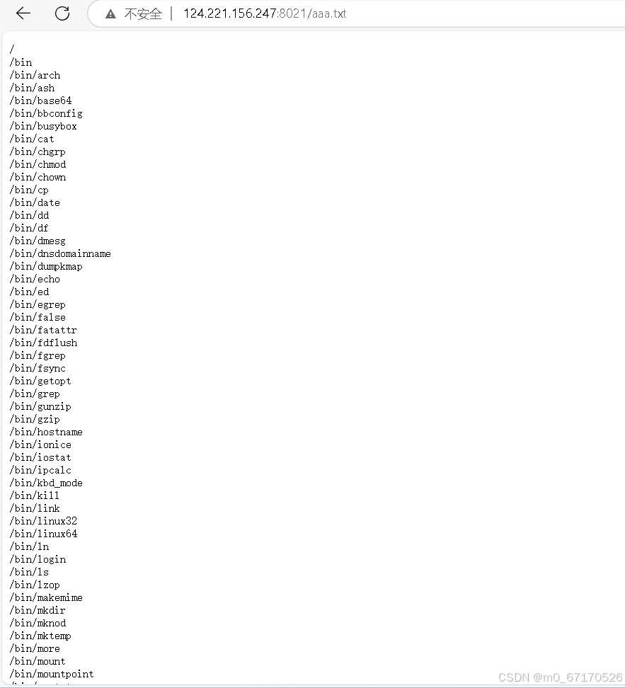 ctf打靶练习之rce_ctf rce-CSDN博客