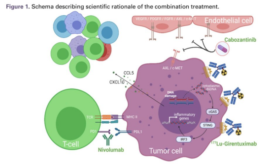 碳酸酐酶CA9-CSDN博客