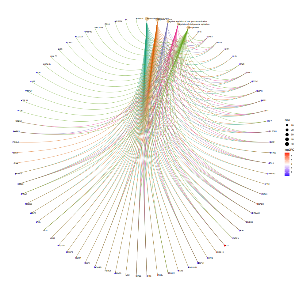 RNA-seq分析3：GO、KEGG富集分析-CSDN博客
