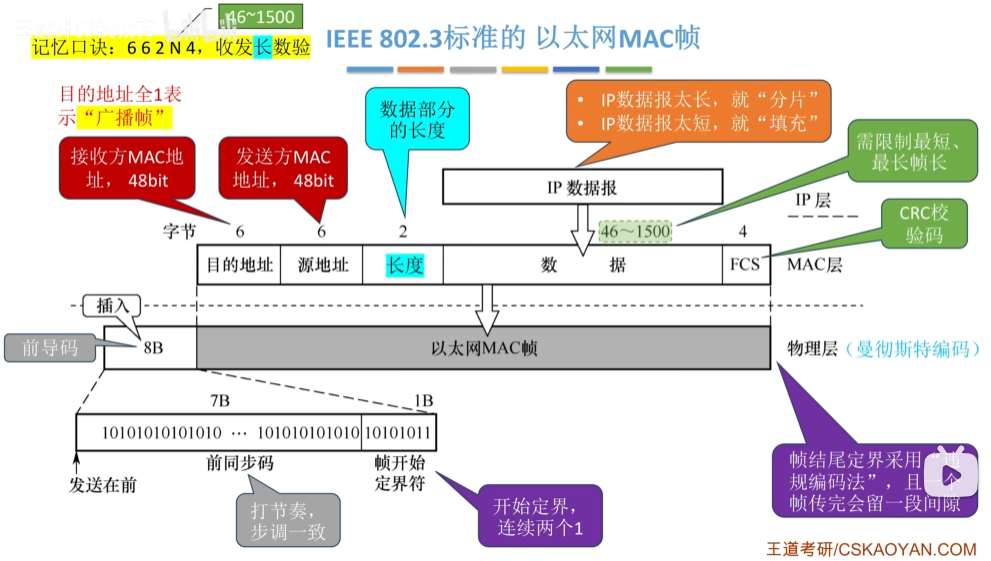 计网复习知识（12）局域网、虚拟局域网以及IEEE 802-CSDN博客