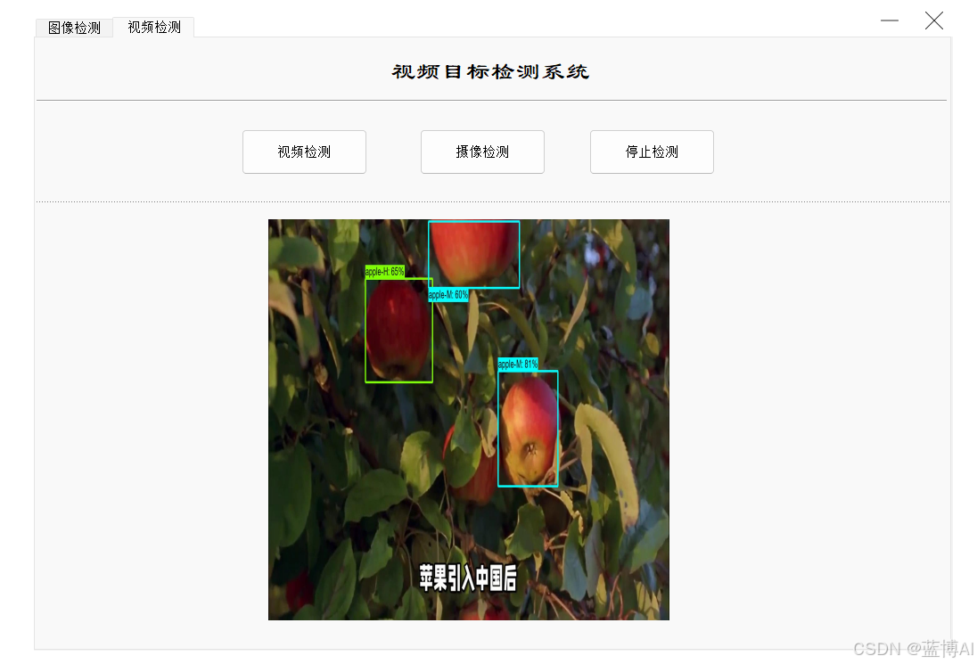 基于ssd模型的水果成熟度检测系统,支持图像、视频和摄像实时检测【pytorch框架、python源码】 Csdn博客