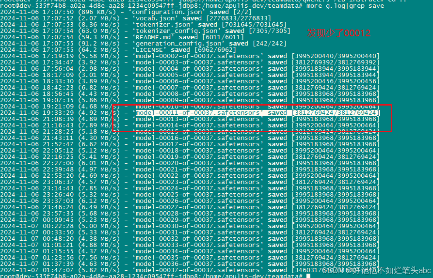 MindIE大模型测试及报错Fatal Python error: PyThreadState_Get: the function must be called with the GIL ...