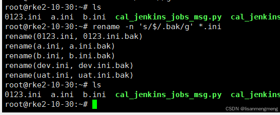 rename 命令介绍和使用案例_rename命令-CSDN博客