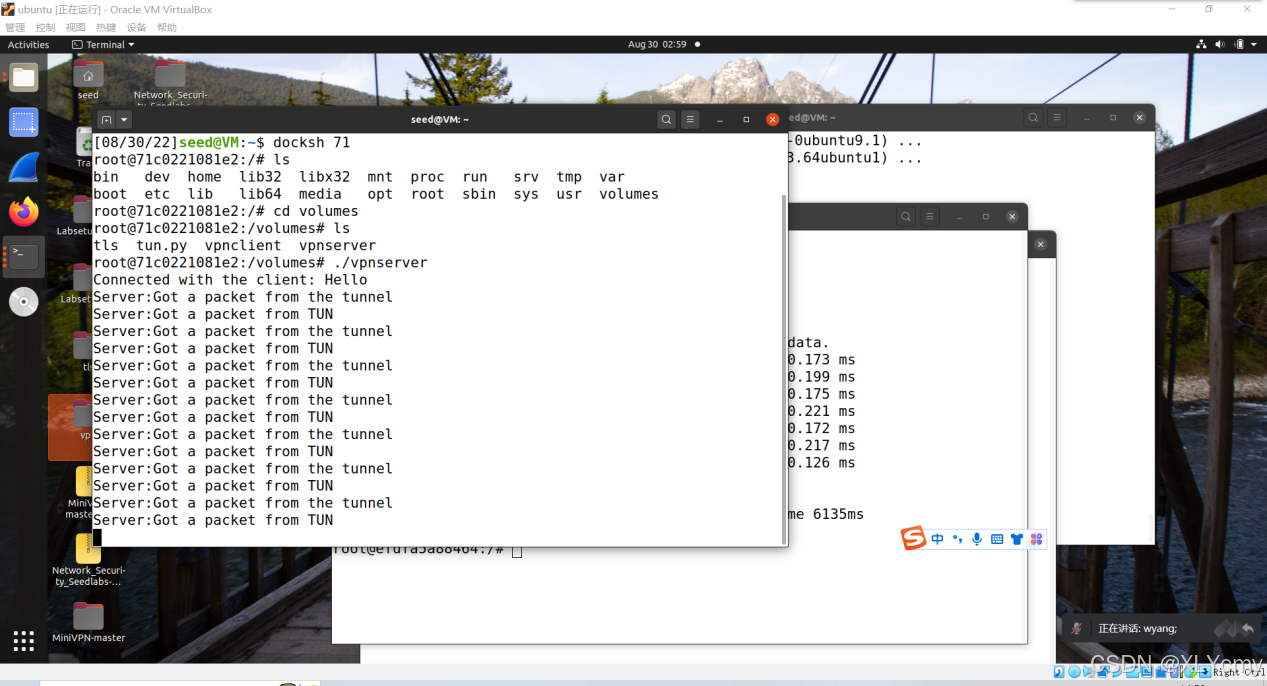 Virtual Private Network (VPN) Lab C版_virtual private network lab-CSDN博客