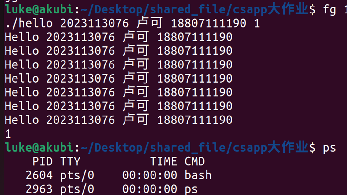 哈工大2025年csapp大作业_哈工大csapp-CSDN博客
