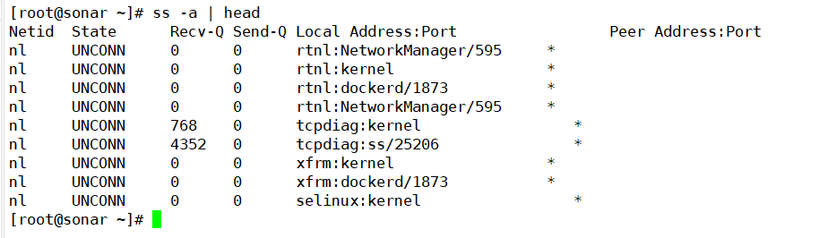 Linux ss命令详解-CSDN博客