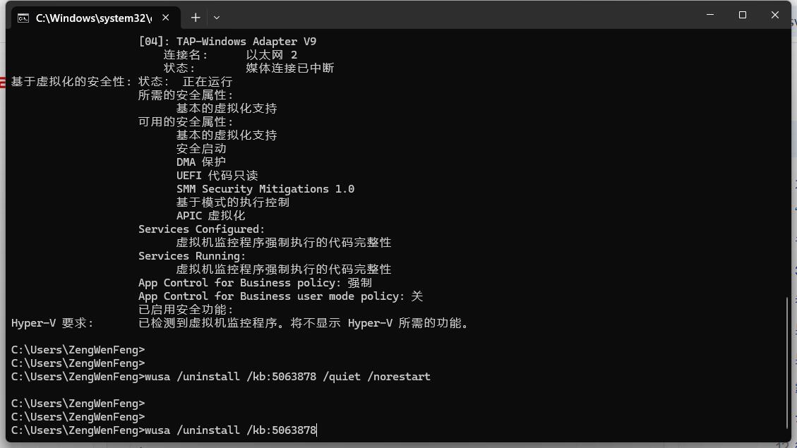 Windows 11 Solid State Drive[SSD] Crashes [KB5063878]-CSDN博客