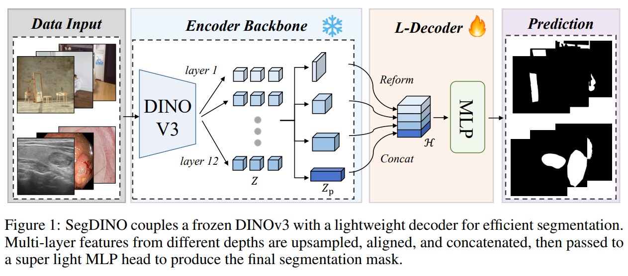 【前沿论文】SegDINO：基于DINO-v3预训练模型的高效图像分割框架【附论文与源码】_dinov3-CSDN博客