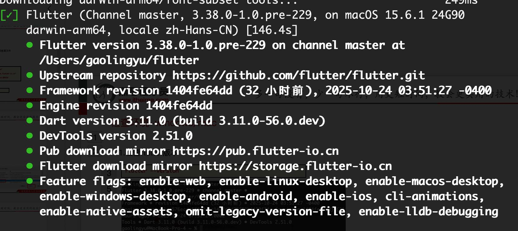 【2025最新】Flutter开发环境配置全攻略Windows/Mac【Flutter必备】-CSDN博客