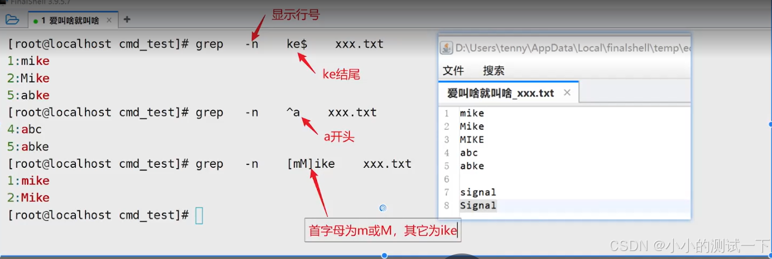 查看文件内容（cat,more,grep）_cat grep-CSDN博客
