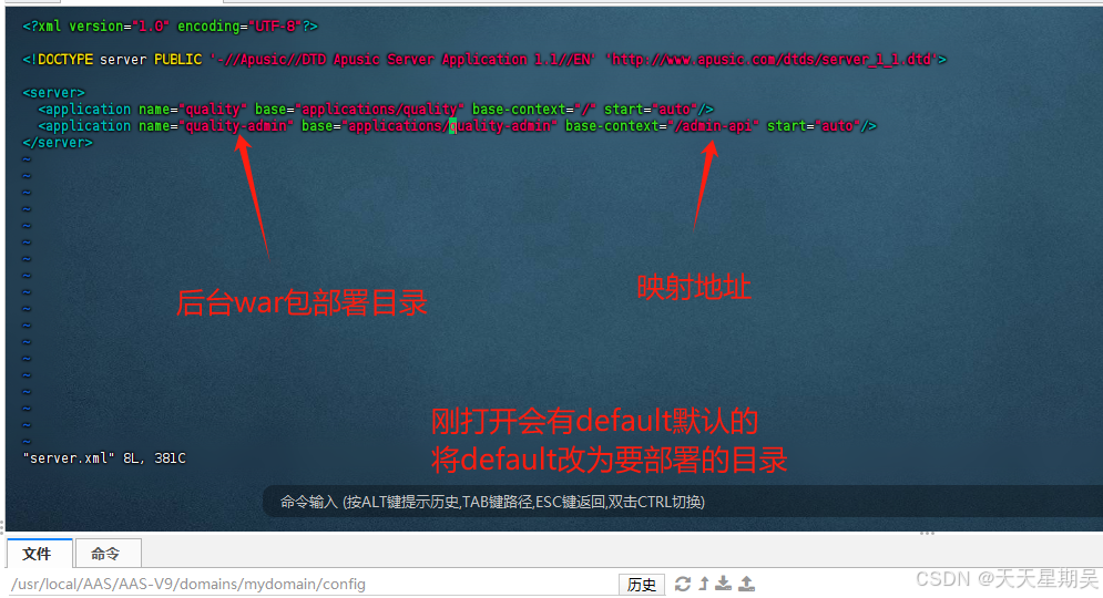 Linux 搭建金蝶中间件AAS-V9 保姆级_金蝶apusic中间件部署-CSDN博客