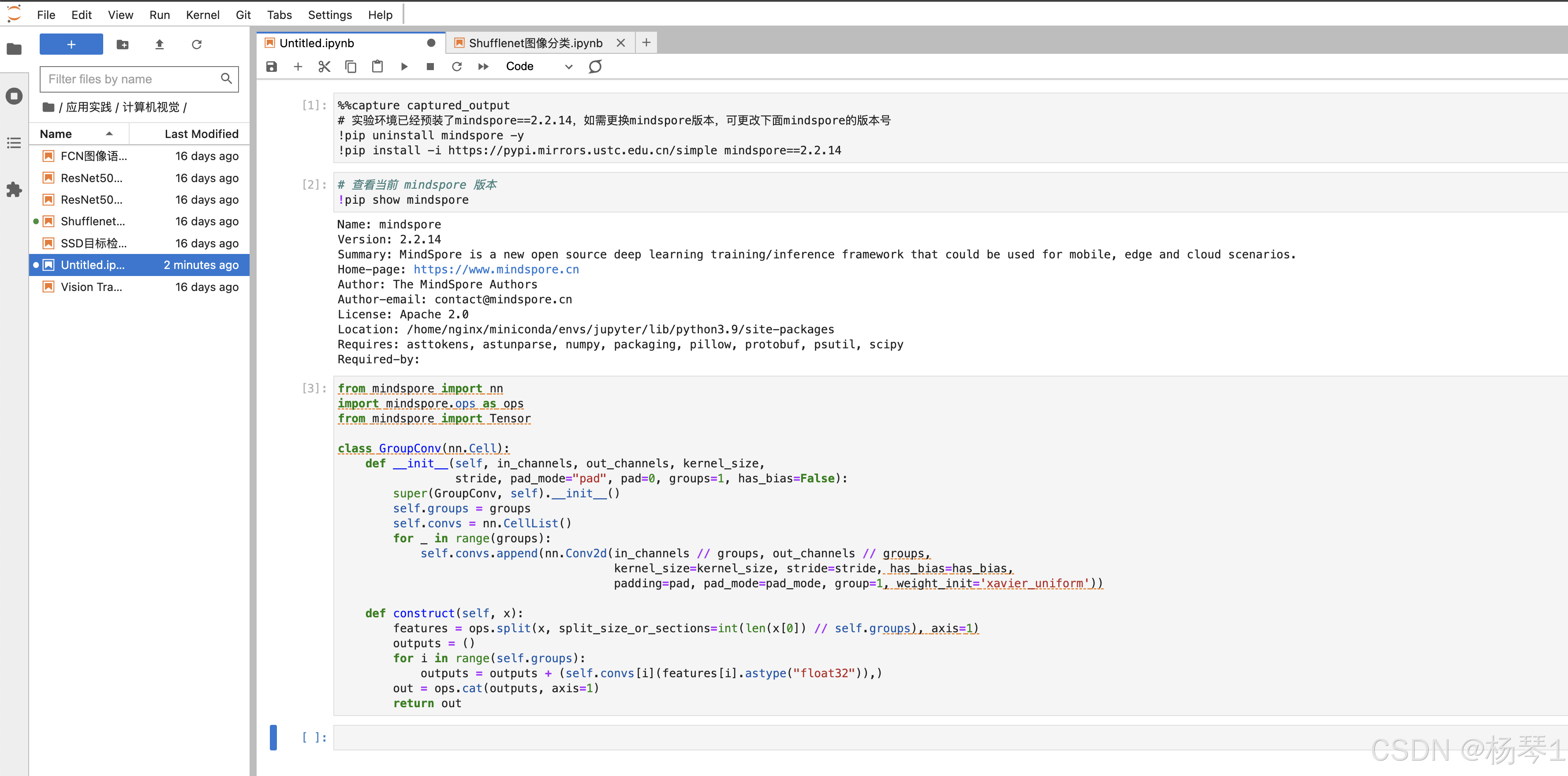 昇思25天学习打卡营第20天|MindSpore使用ShuffleNet图像分类学习（Channel Shuffle）-CSDN博客