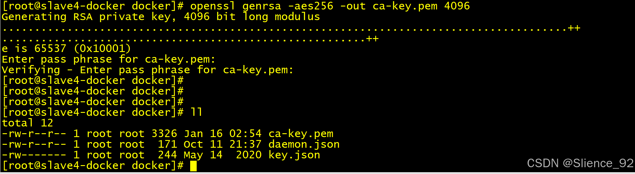 Docker_CA认证原理及配置_docker ca-CSDN博客