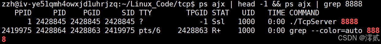 【计算机网络】简学深悟启示录：socket编程之tcp-CSDN博客