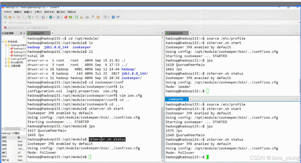 (十五) 5分钟搞懂 : Zookeeper 的详细安装,使用及注意事项_通过修改znode数据切换zk主从-CSDN博客