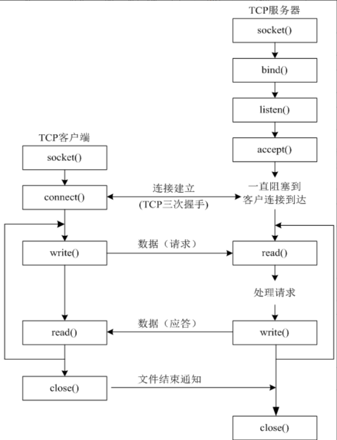 网络.2 TCP-CSDN博客