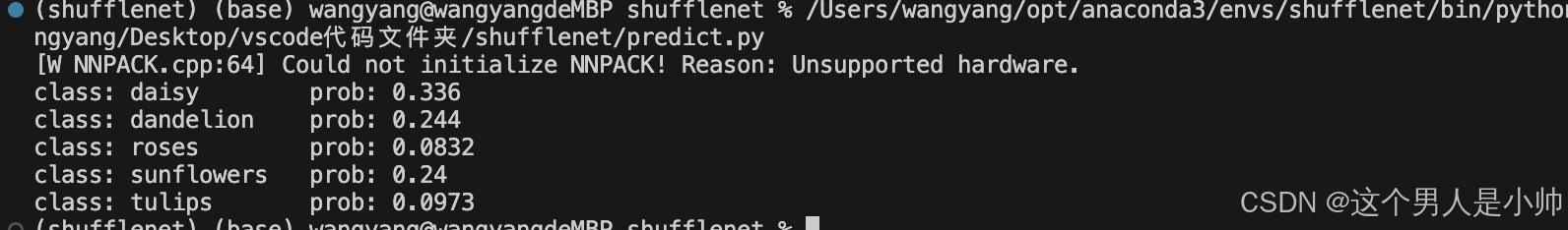 【Shuffle Net V2】精讲 (5) 【pytorch】完整可运行代码_shufflenet代码-CSDN博客
