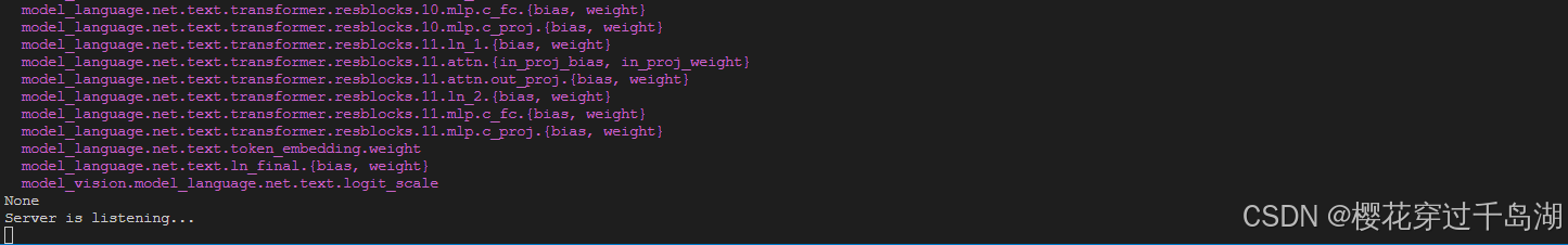 Video-RAG复现_videorag-CSDN博客