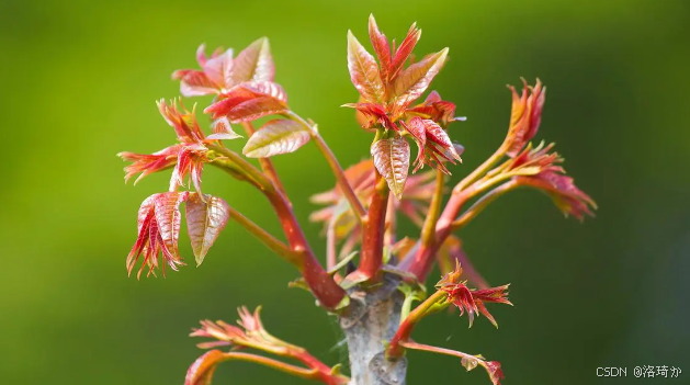 mfc110u.dll错误不用愁！全方位教会你应对缺失的修复秘籍-CSDN博客