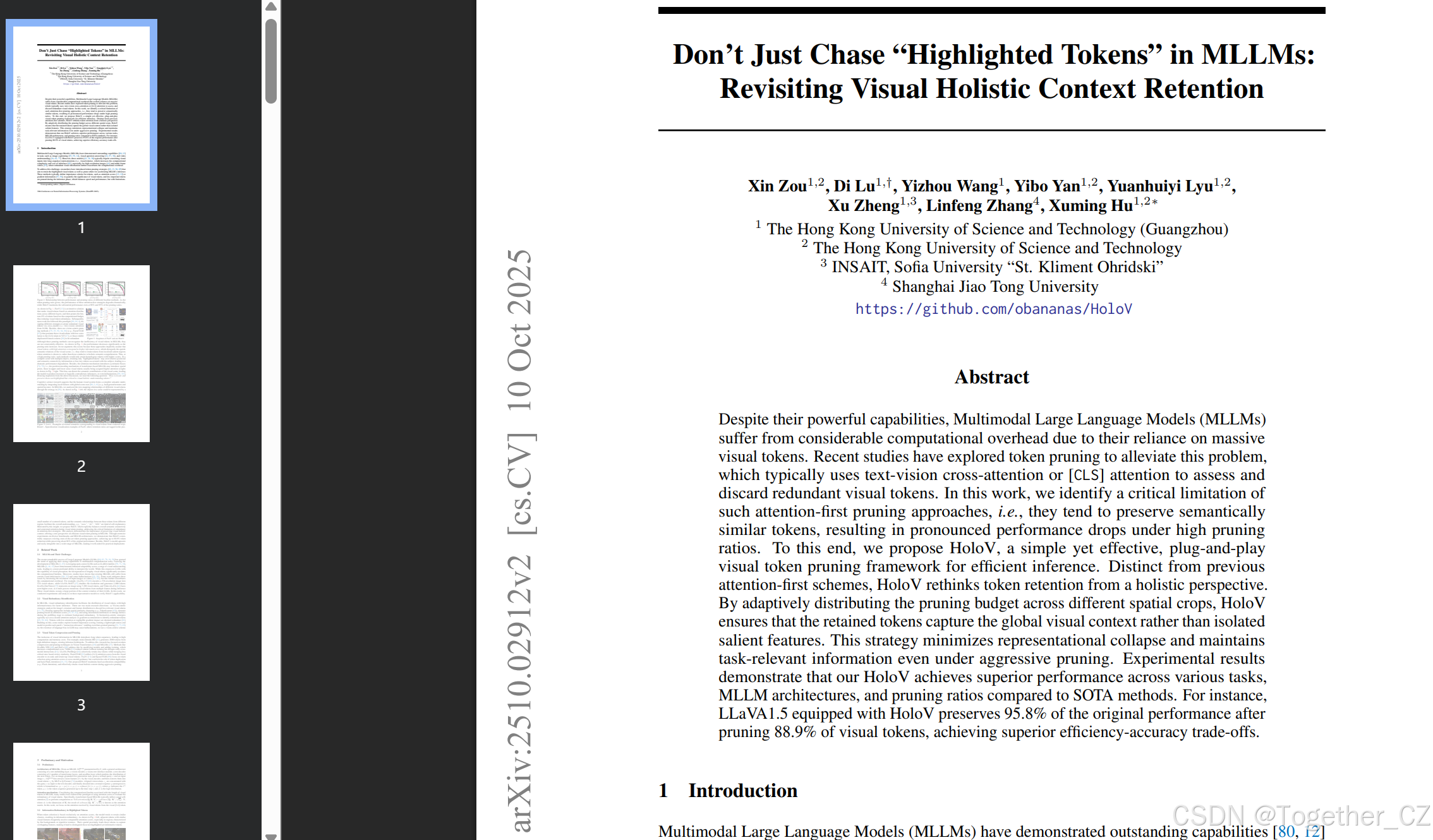 HoloV：Don’t Just Chase “Highlighted Tokens” in MLLMs:Revisiting Visual Holistic Context ...