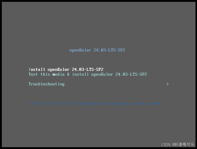 VMware安装openEuler24.03_openeuler 24.03-CSDN博客