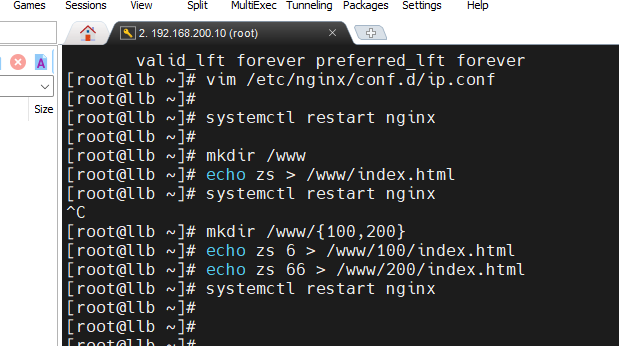 一.配置ssh实现A，B主机互相免密登录 二.配置nginx服务，通过多ip区分多网站-CSDN博客