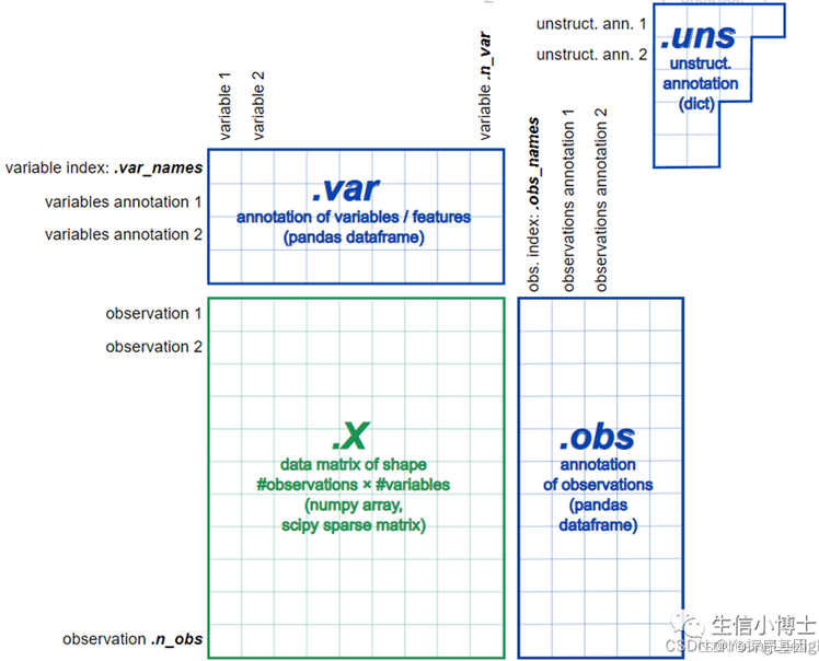 基于python使用scanpy分析单细胞转录组数据python Scanpy Csdn博客