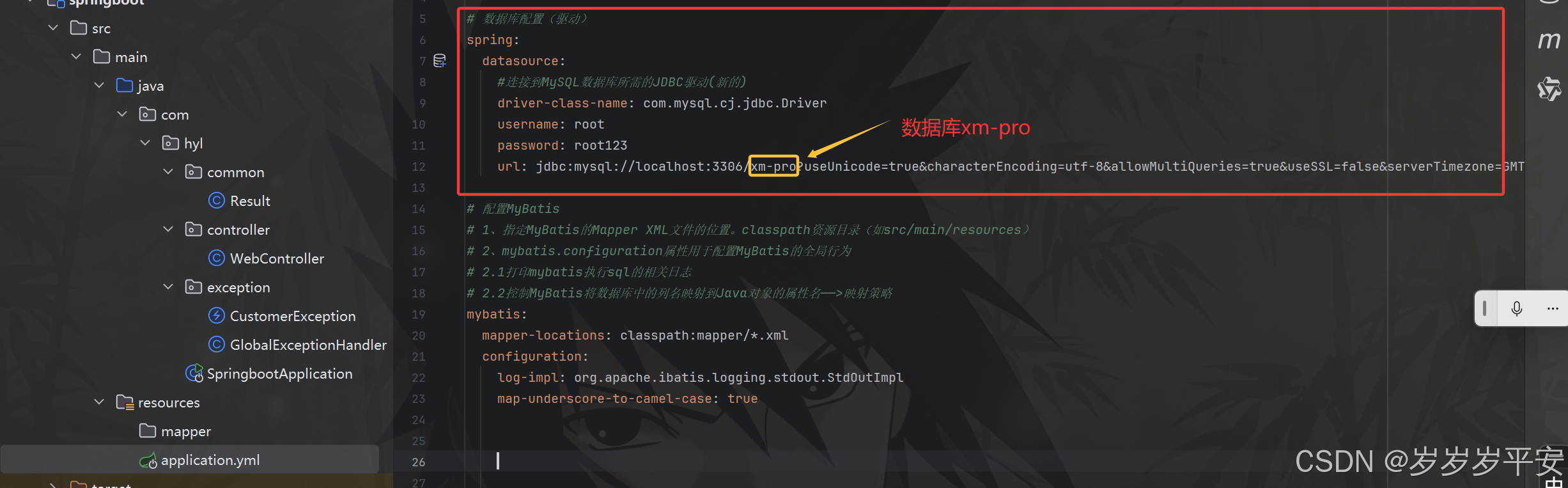 SpringBoot3实战（SpringBoot3集成MyBatis。PageHelper分页查询。get(查)、post(增)、put(改)、delete(删)请求）(2 ...