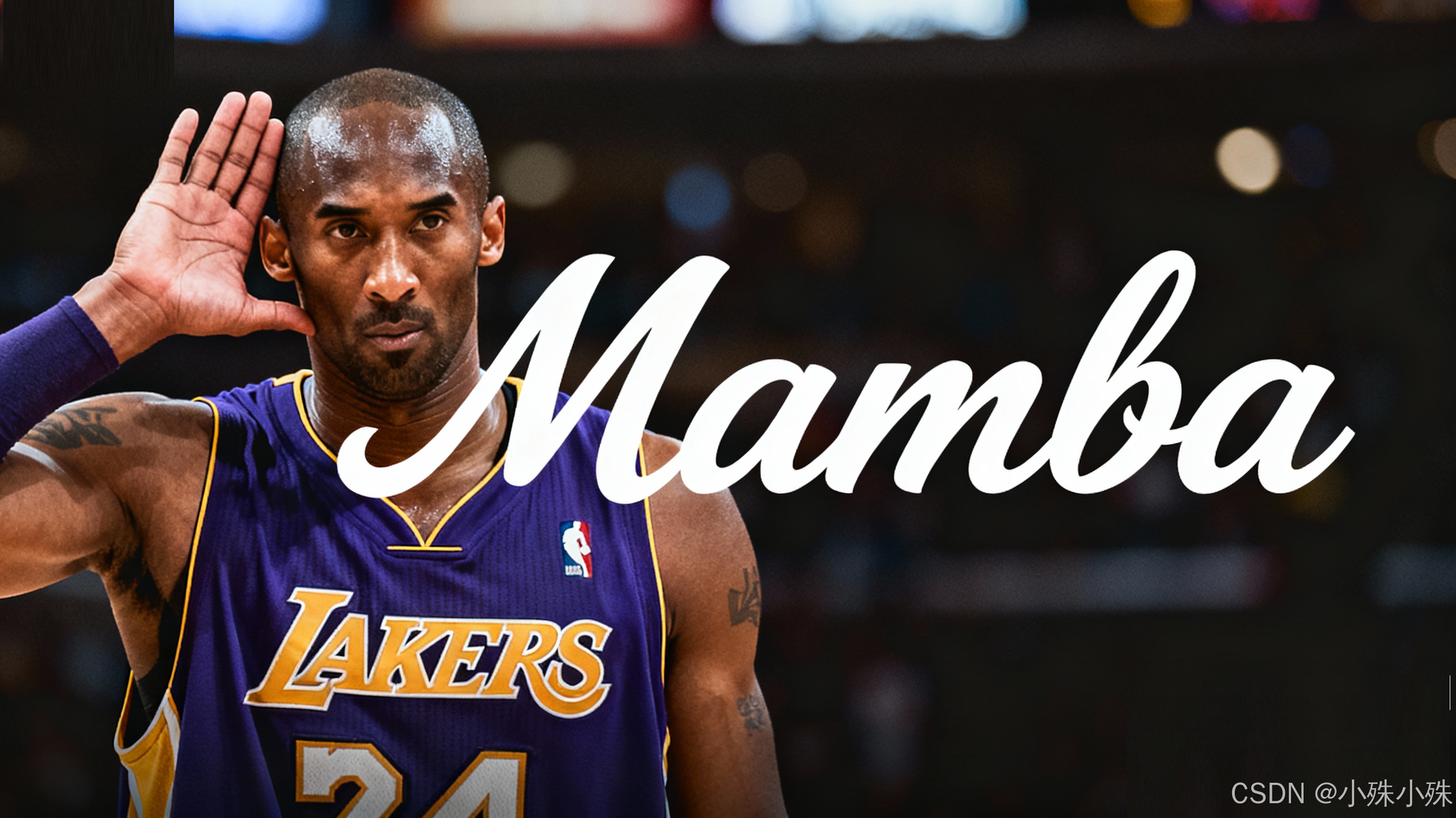 Mamba的前世今生！_mamba与记忆系统-CSDN博客