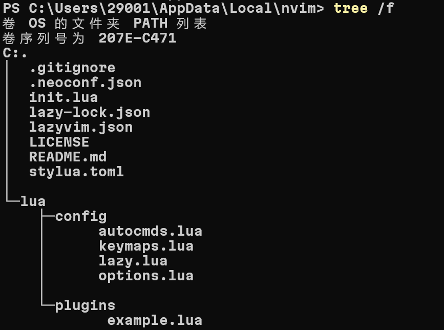 lazyvim的nvim文件夹详解_lazy.nvim-CSDN博客