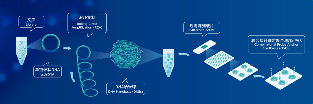 DNBC4tools使用-CSDN博客