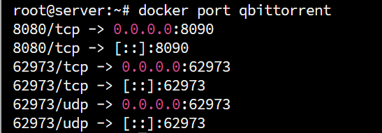 最强 OpenList 离线下载搭建攻略：整合 qBittorrent 的完美实践（含密码查看、Unauthorized 修复、BT 端口配置与常见错误排查）_openlist默认密码-CSDN博客