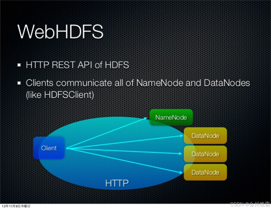 HDFS REST HTTP API_webhdfs-CSDN博客