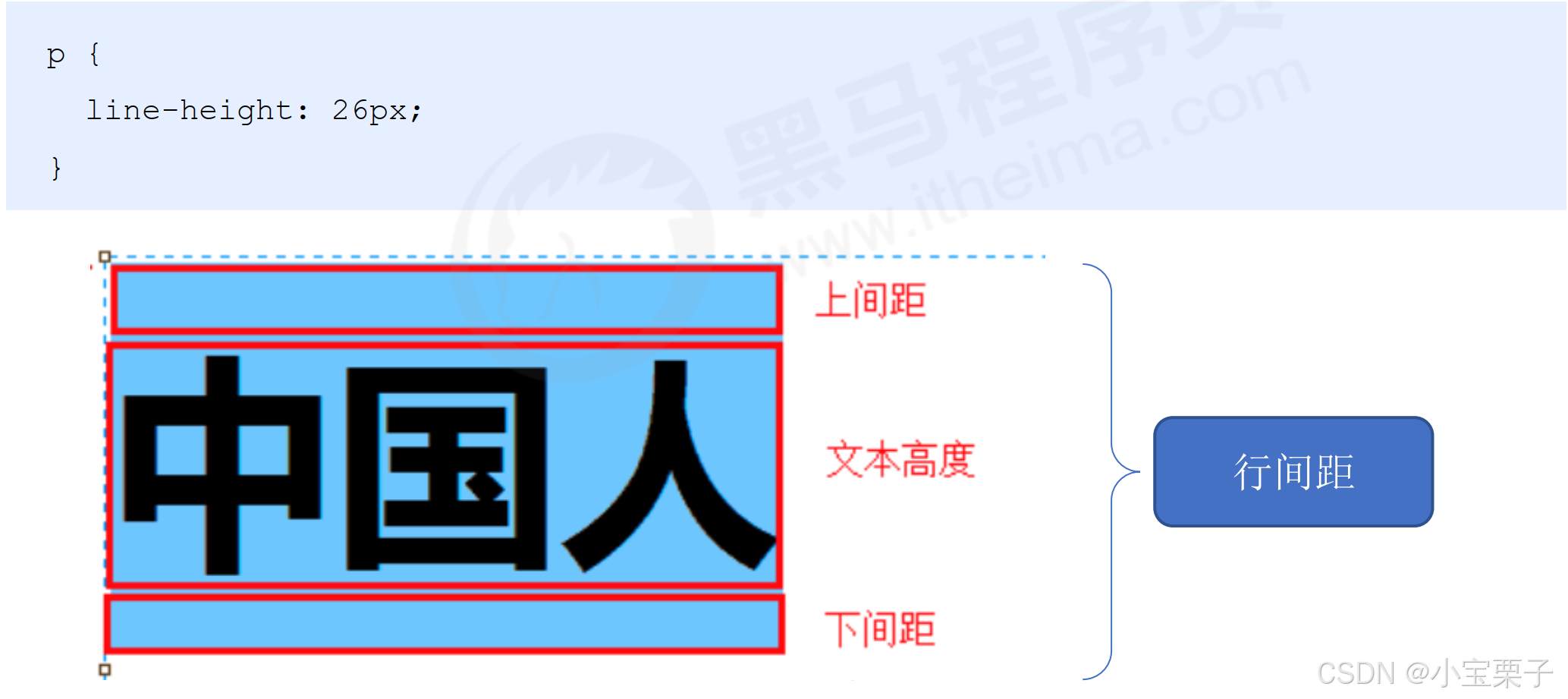 前端学习CSS day1-CSDN博客