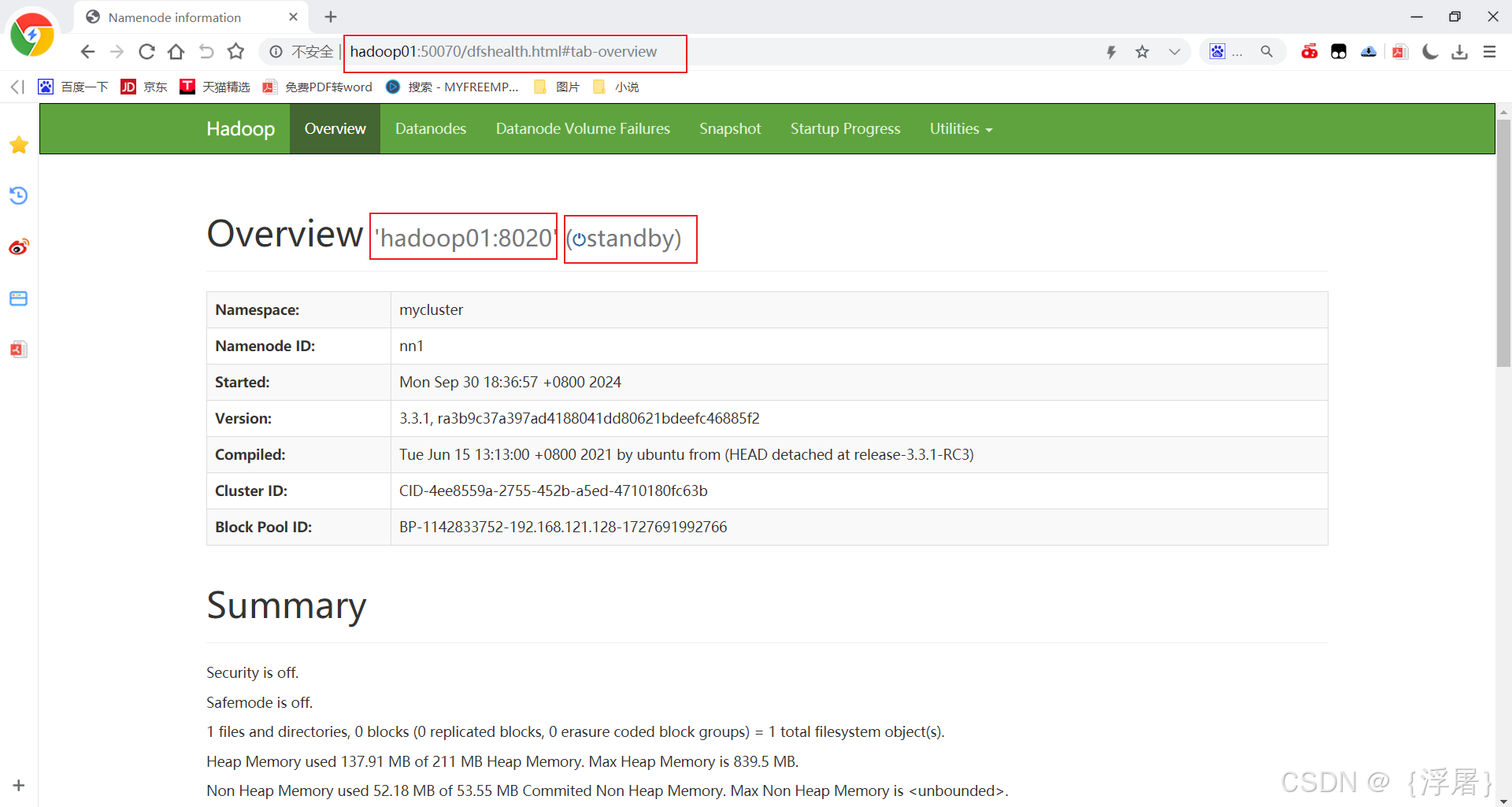 基于zookeeper安装部署下，配置 HDFS-HA 集群_hadoop hdfs ha集群如何配置-CSDN博客